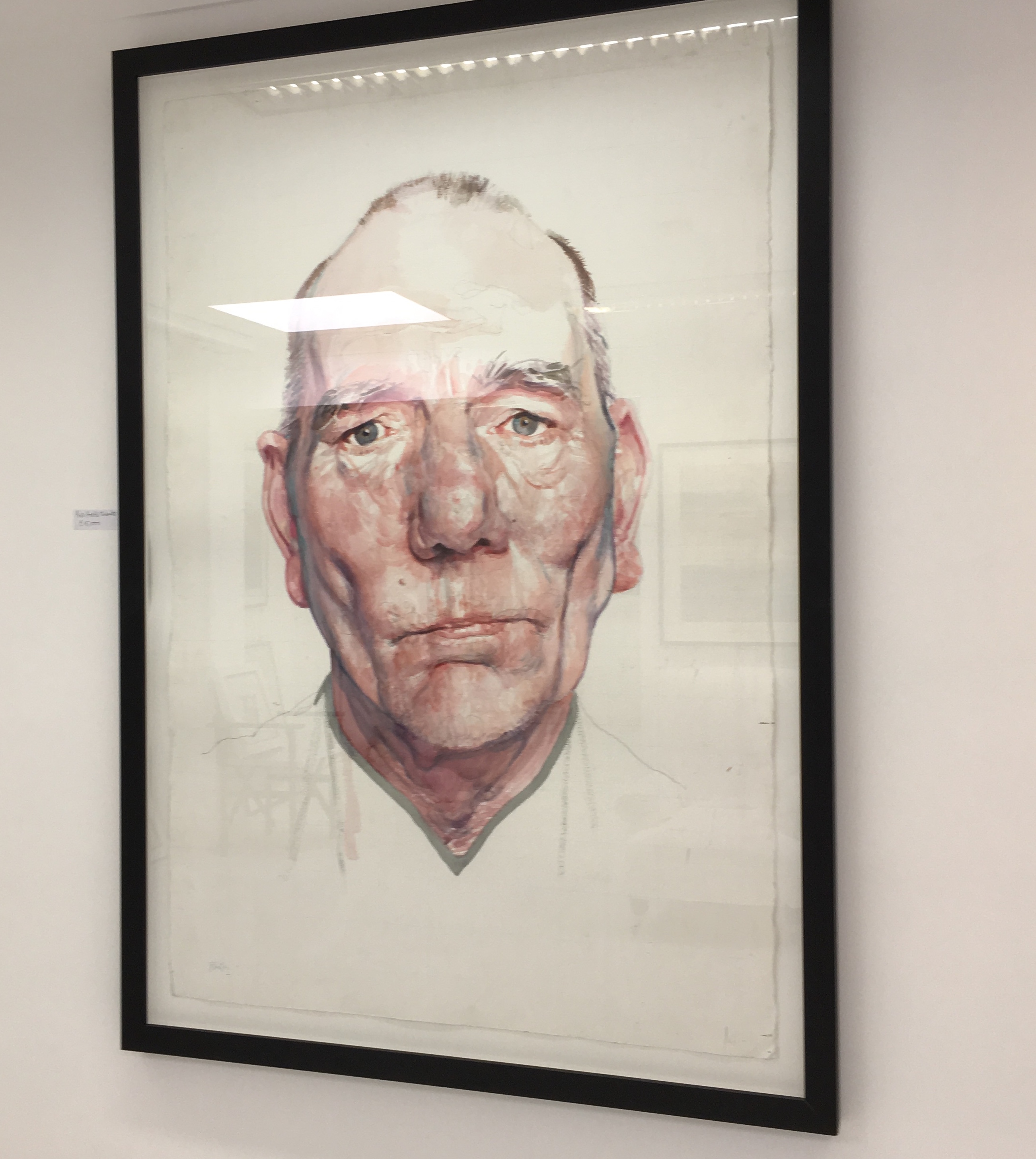 Michael Frith Exhibition Seaward Properties